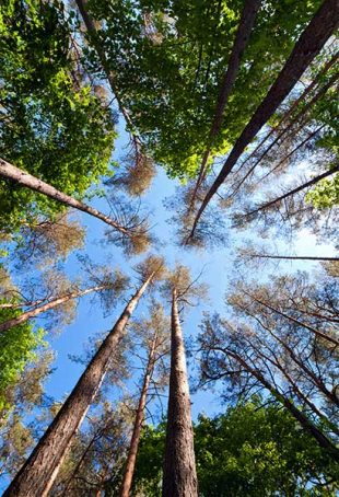 CIC Annual Report 2016 to 2017: Growth of CIC sector – Community ...